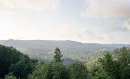 Hotel & Retreat in the Rheingau | WALD.WEIT