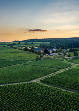 Hotel & Retreat im Rheingau | WALD.WEIT