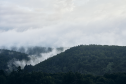 Hotel & Retreat im Rheingau | WALD.WEIT