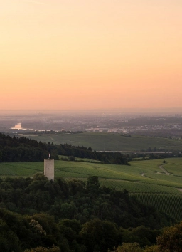 Hotel & Retreat im Rheingau | WALD.WEIT