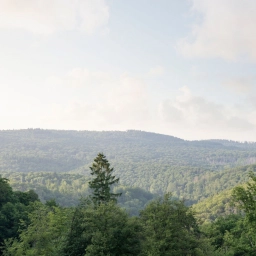 Hotel-Angebote & Arrangements Rhein-Main | WALD WEIT