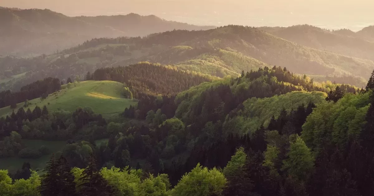 Hotel & Retreat in the Rheingau | WALD.WEIT